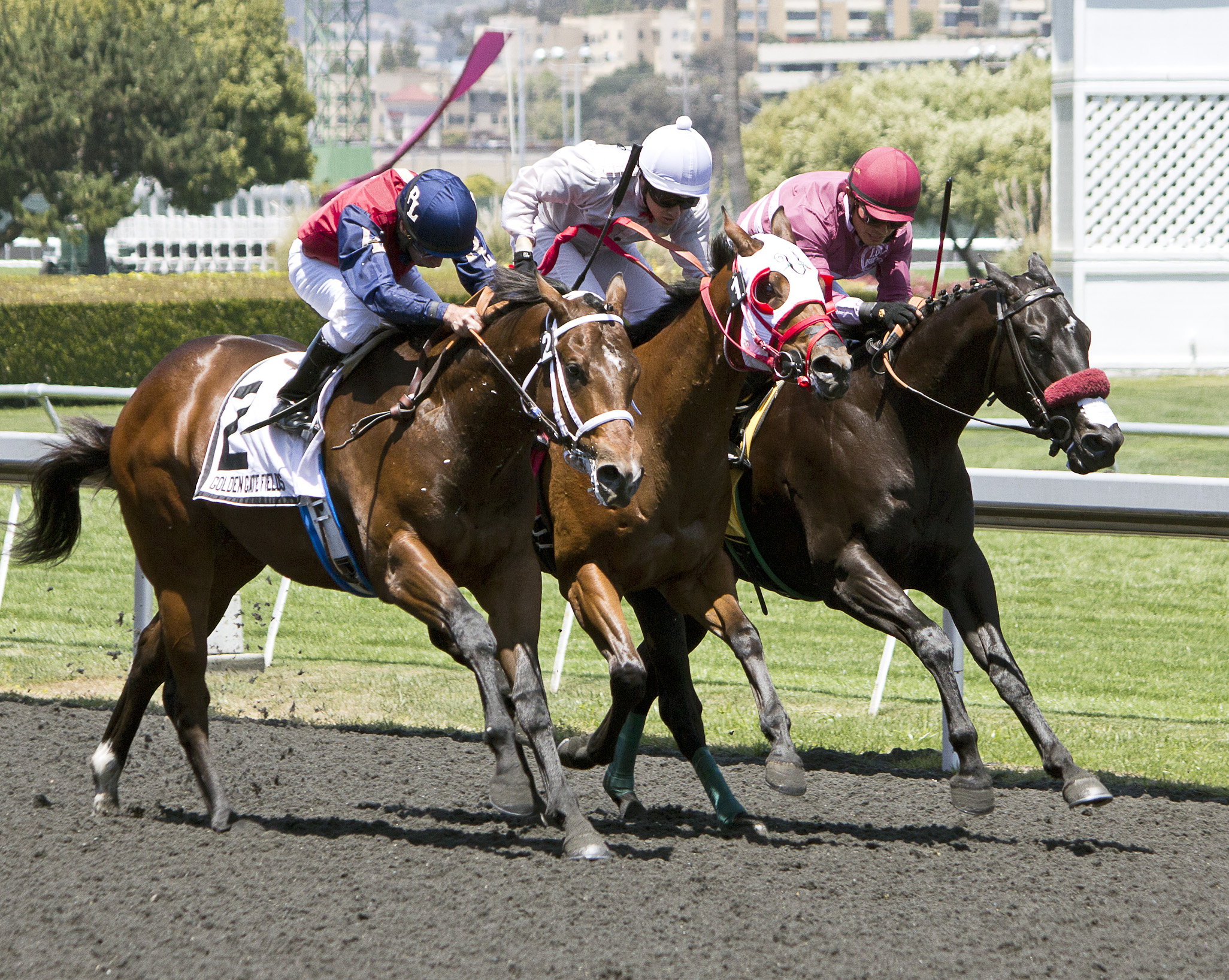 Golden Gate Fields First Time Starter Skydreamin Wins Lost In The Fog